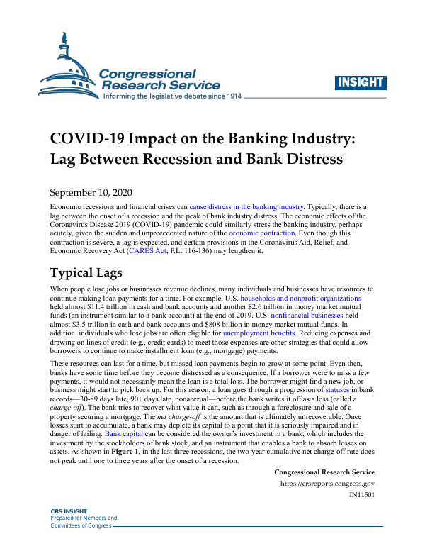 COVID-19 Impact on the Banking Industry: Lag Between Recession and Bank ...