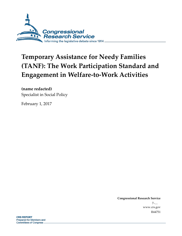 Temporary Assistance for Needy Families (TANF): The Work Participation ...